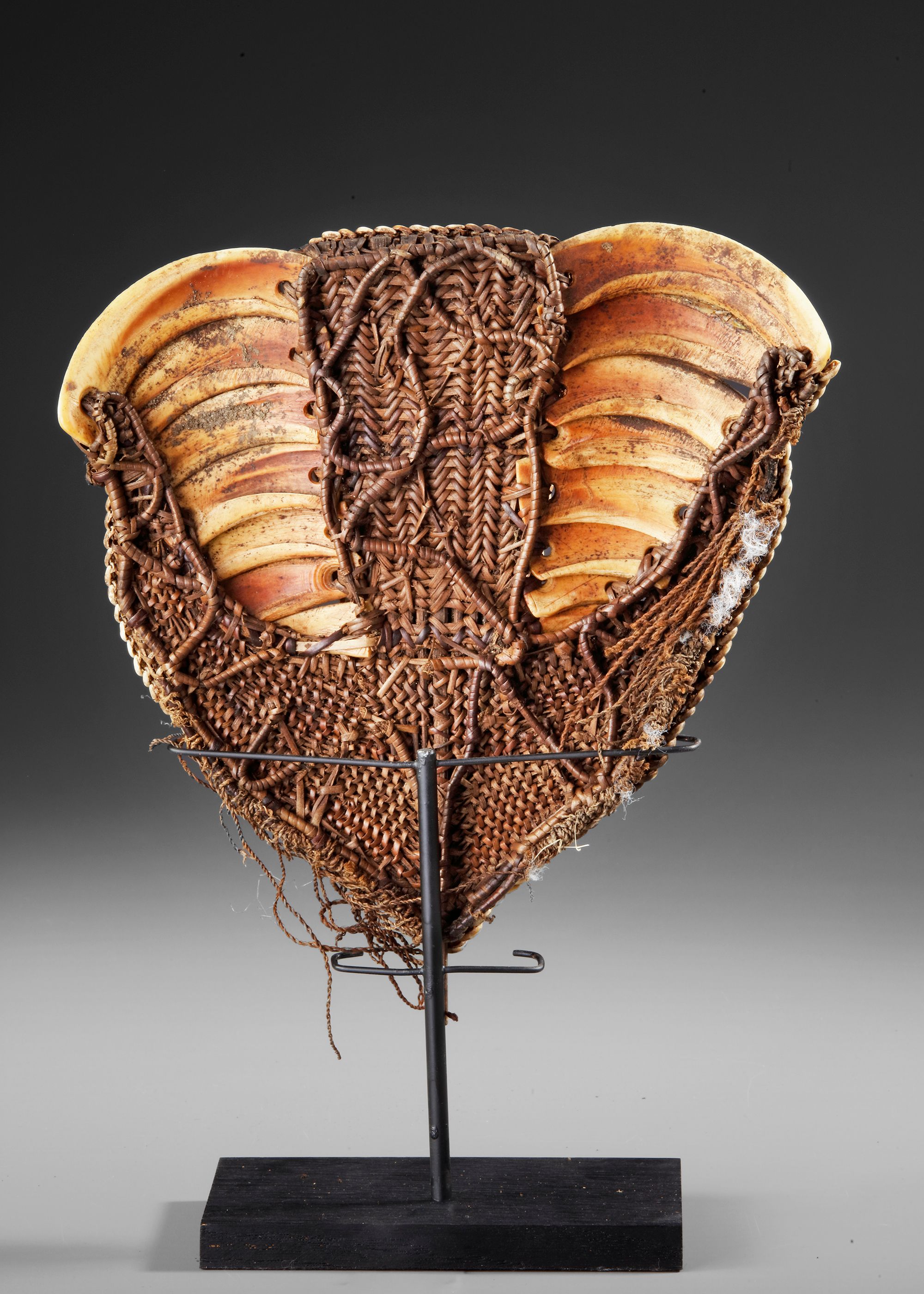 Aitape pectoral adornment with boar’s tusks, nassa shell and Job’s tears.
