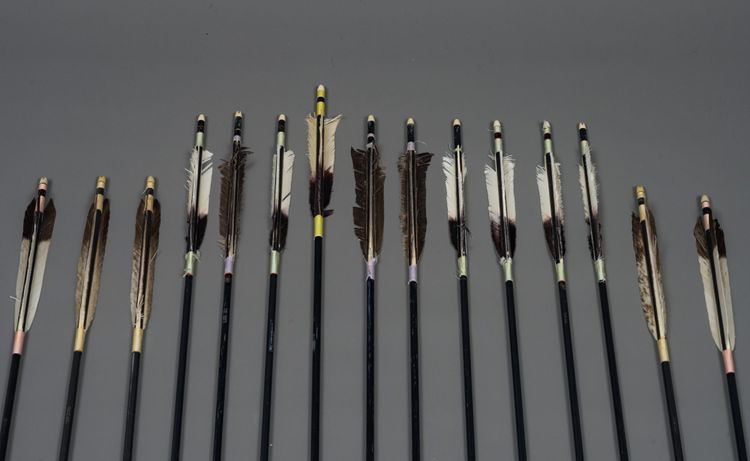 15 MODERN ARROWS IN A STAND